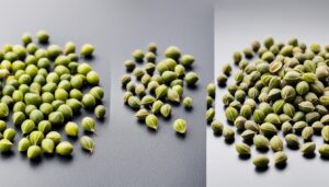 What are Capers? And Everything you need to know