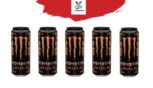 Top 16 Best Monster Flavors in 2024